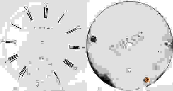 Store | Seth Thomas Research