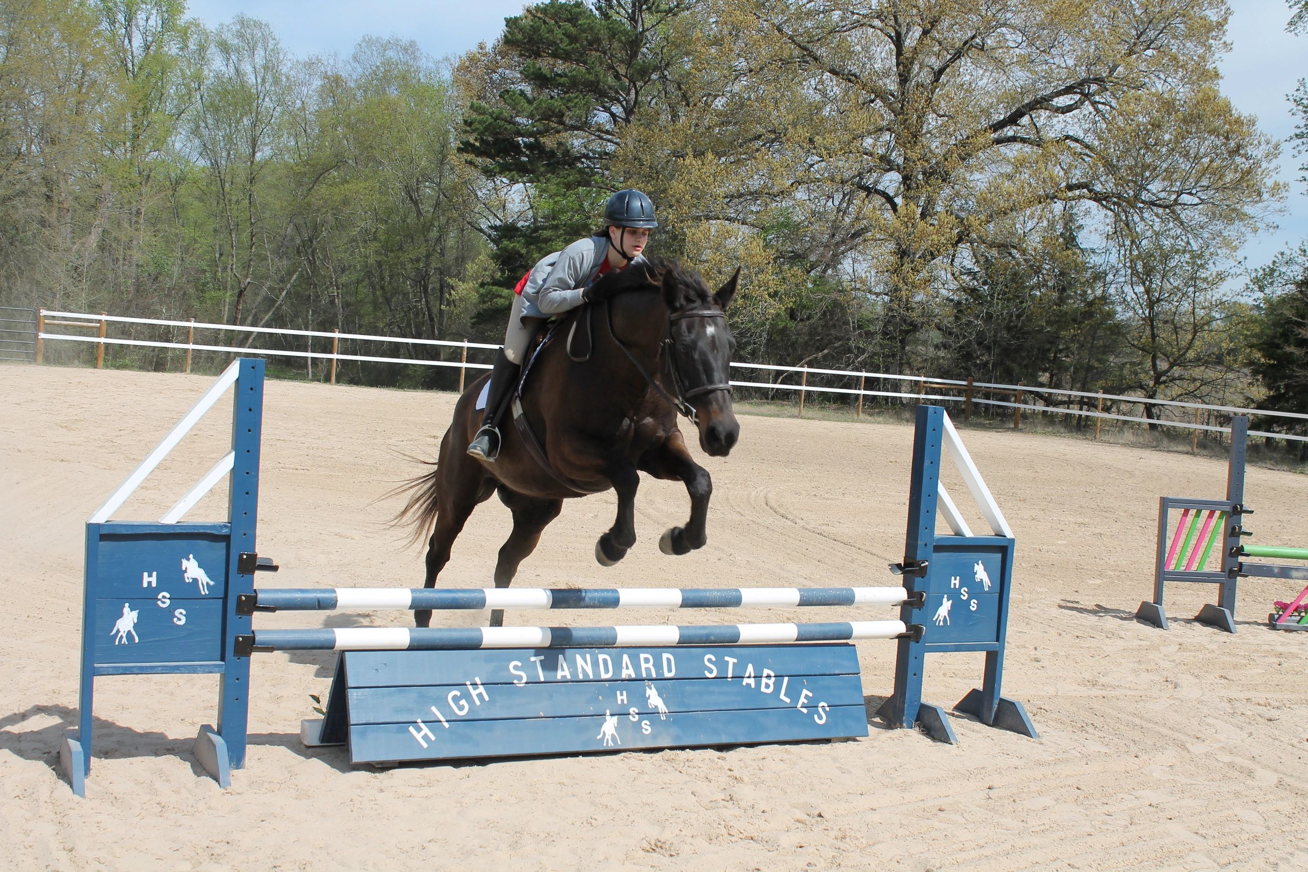 Riding Lessons - High Standard Stables