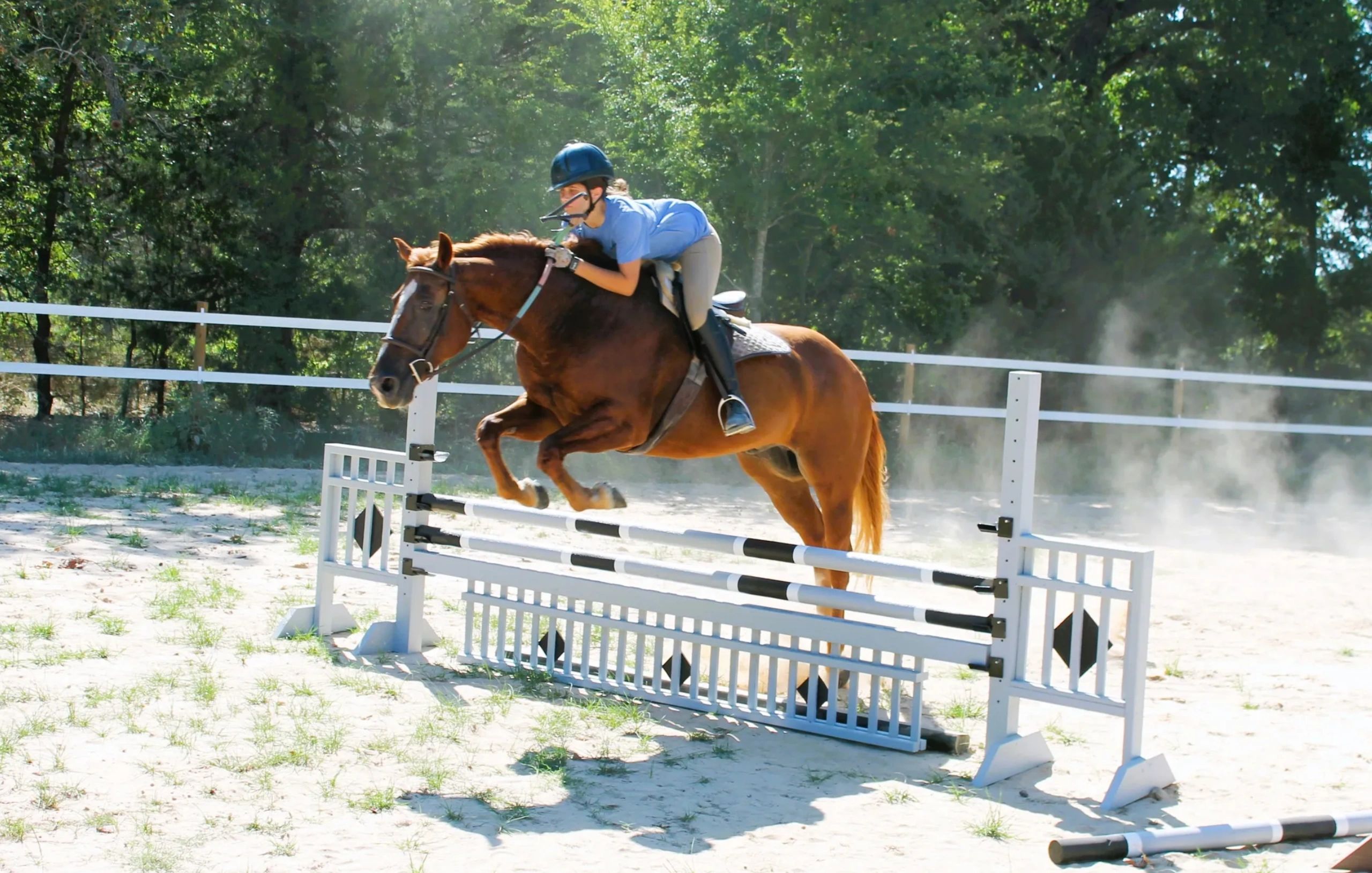 Riding Lessons - High Standard Stables