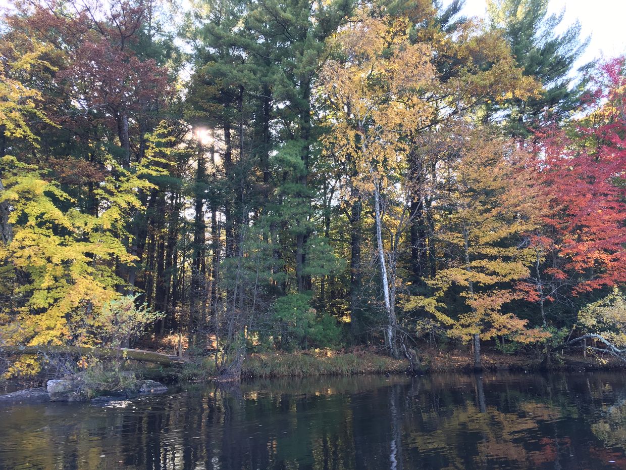 About Hidden Studios Art Tour