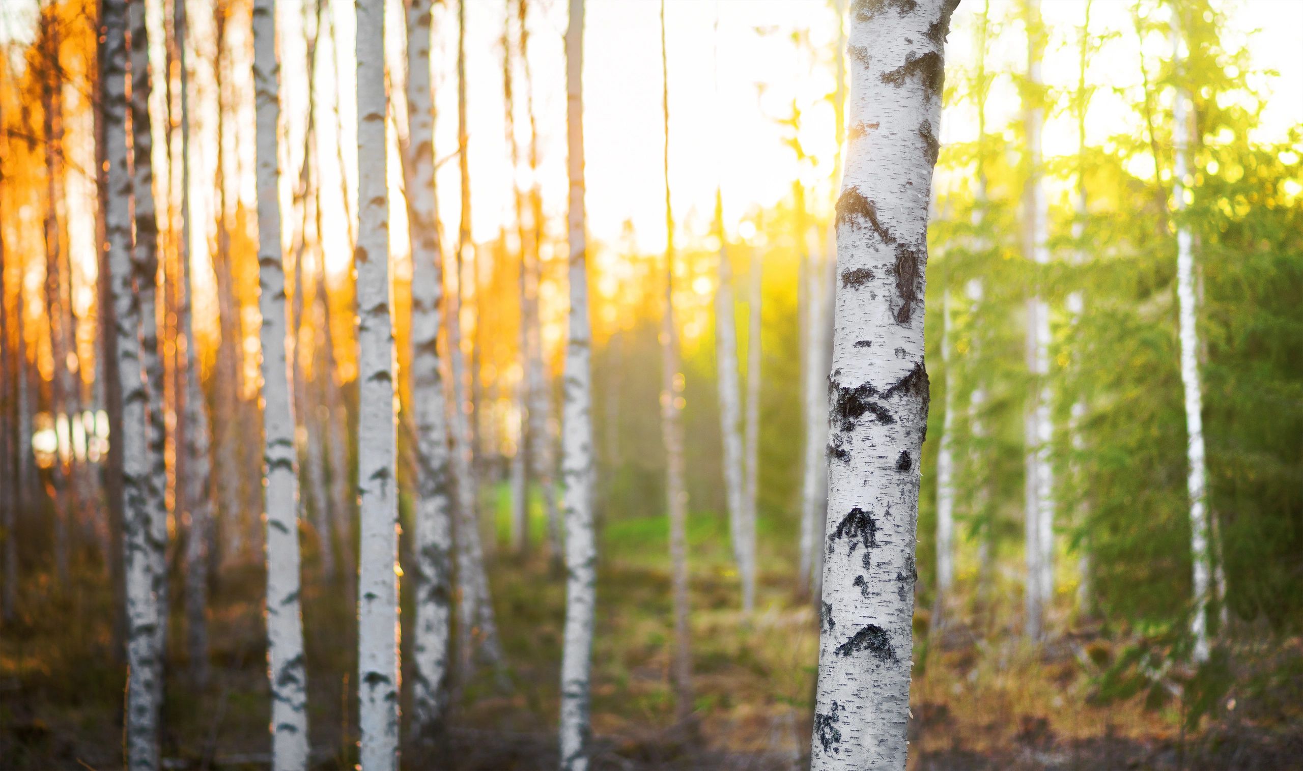 Hidden Studios Art Tour — Art Tour, Wisconsin Art