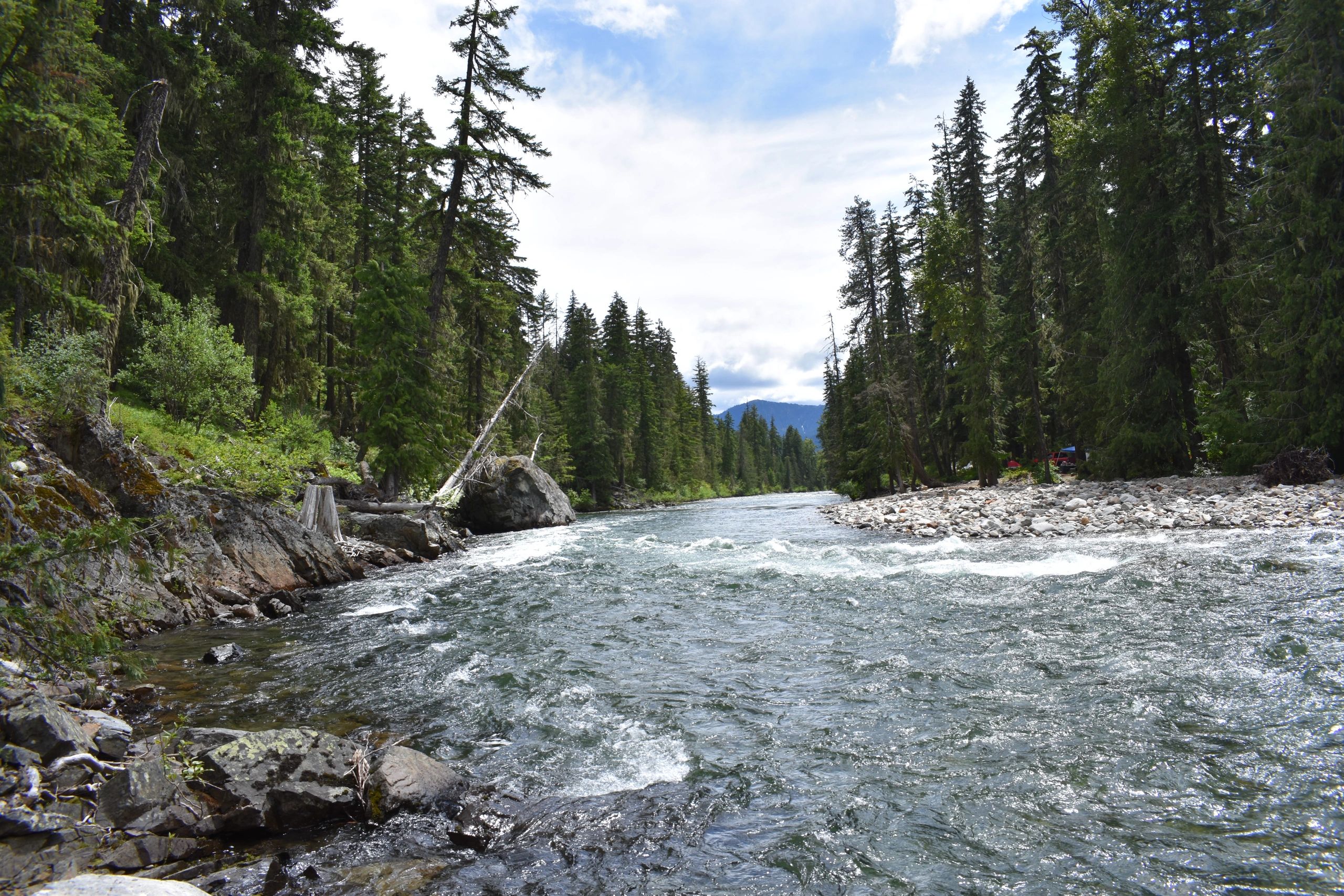 Unchained Life Services