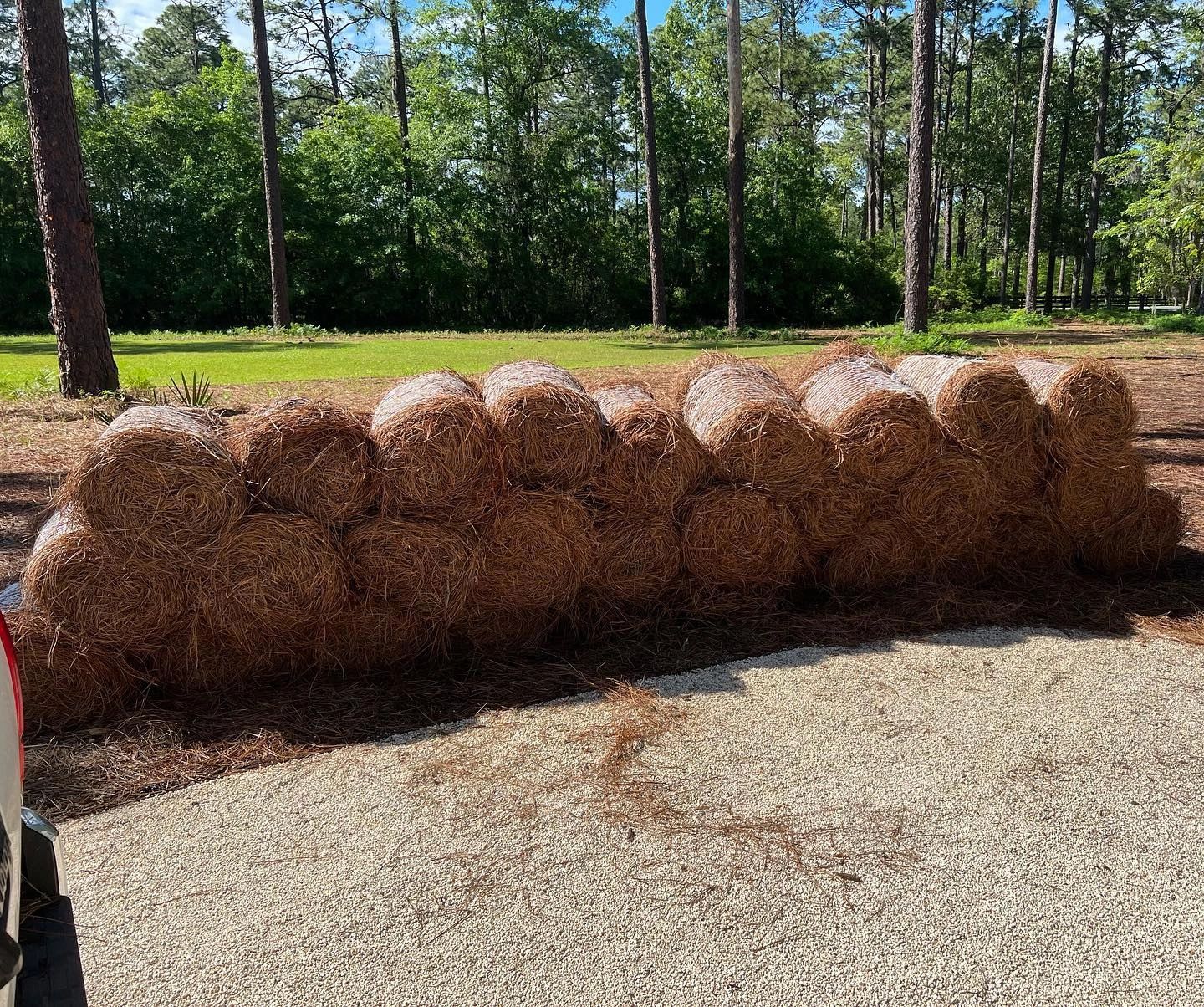 Bluffton, SC | Pinestraw