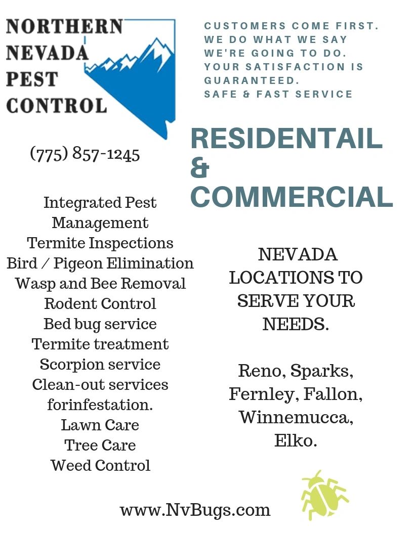 Reno Sparks pest control services.