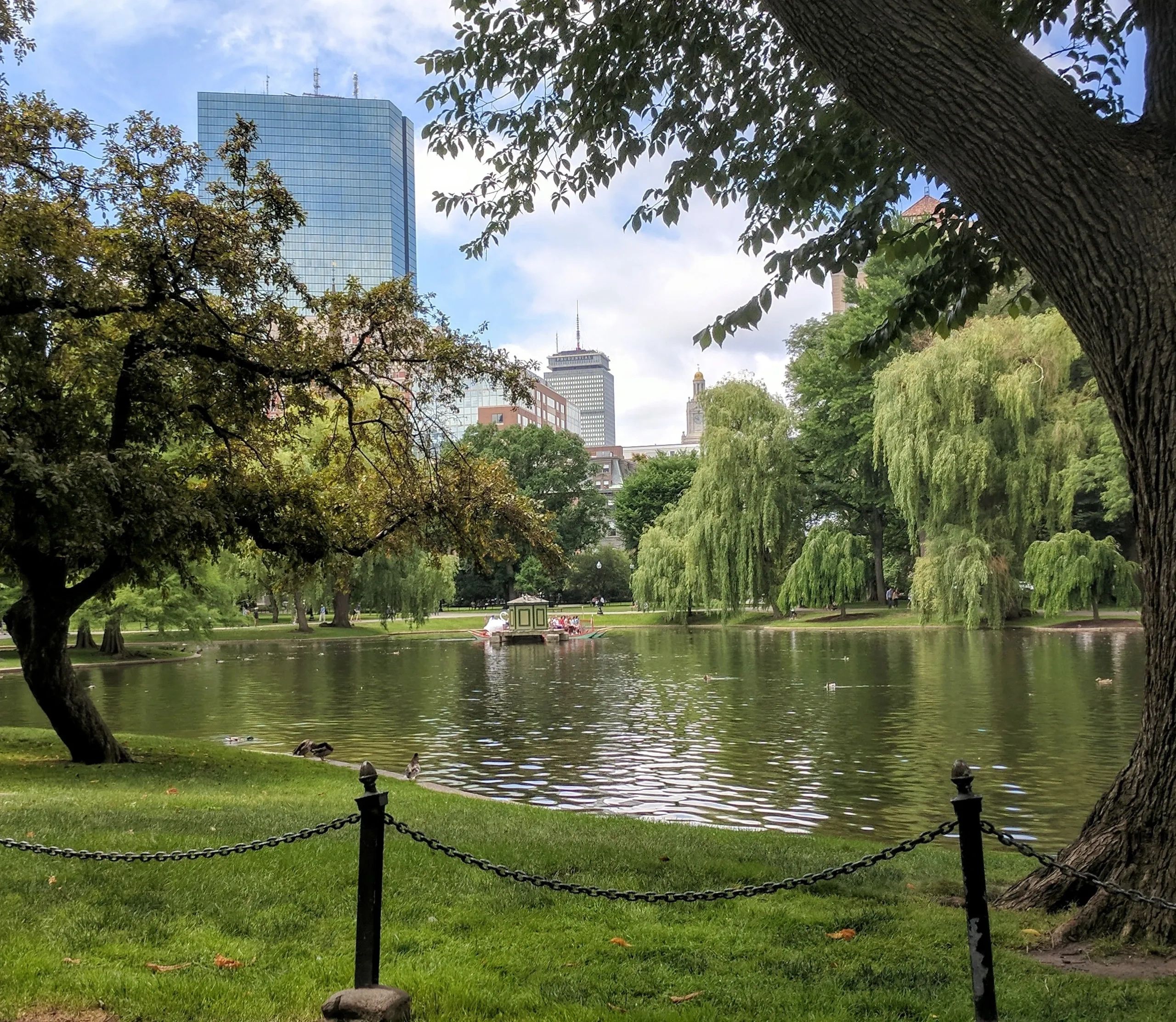 Vinay Verma, MD - Home