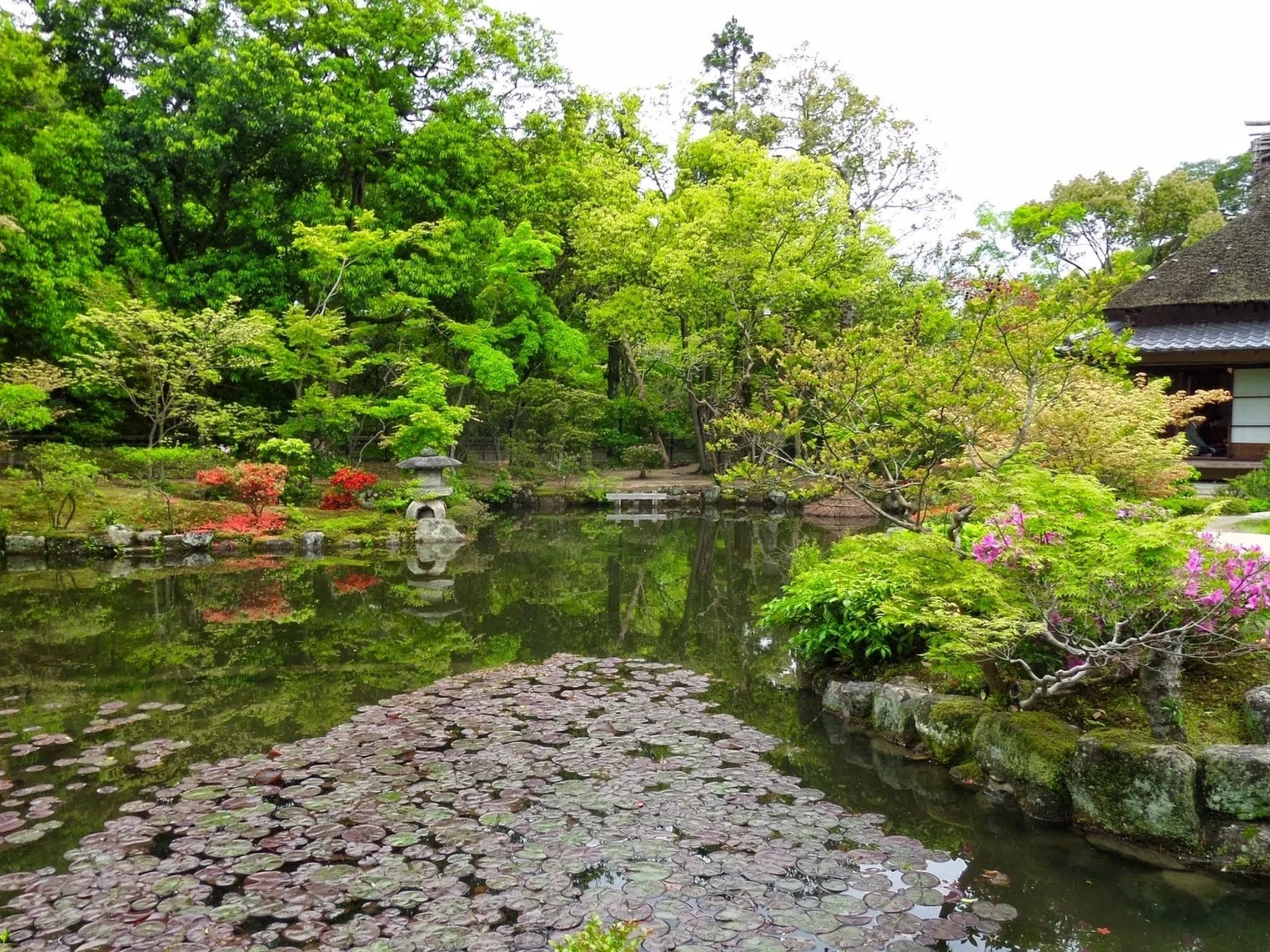 Vinay Verma, MD - Home