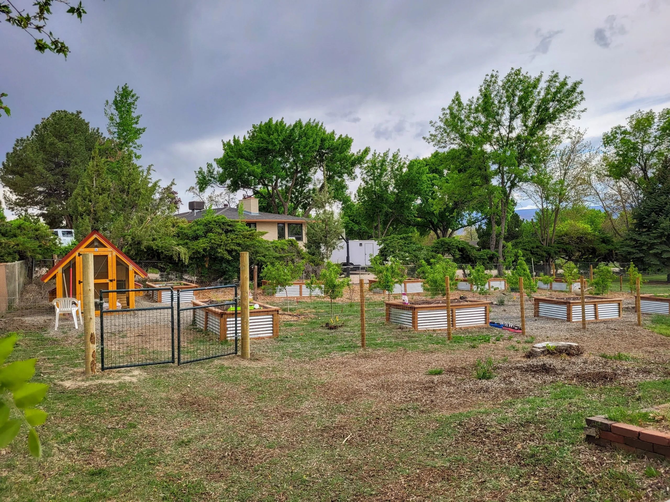 Welcome [luckydogorchards.com]