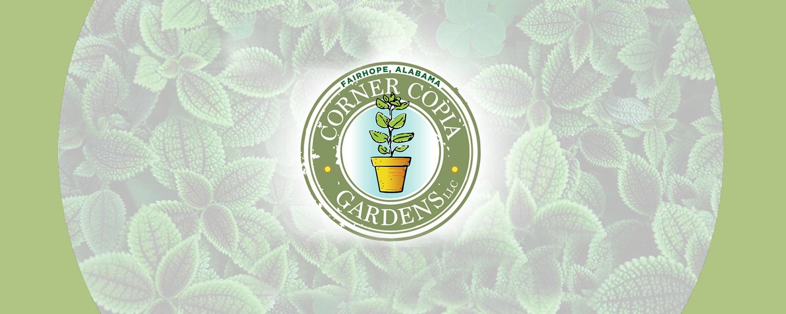 Corner Copia Gardens - Plants, Plant Nursery, Plants, Garden Center