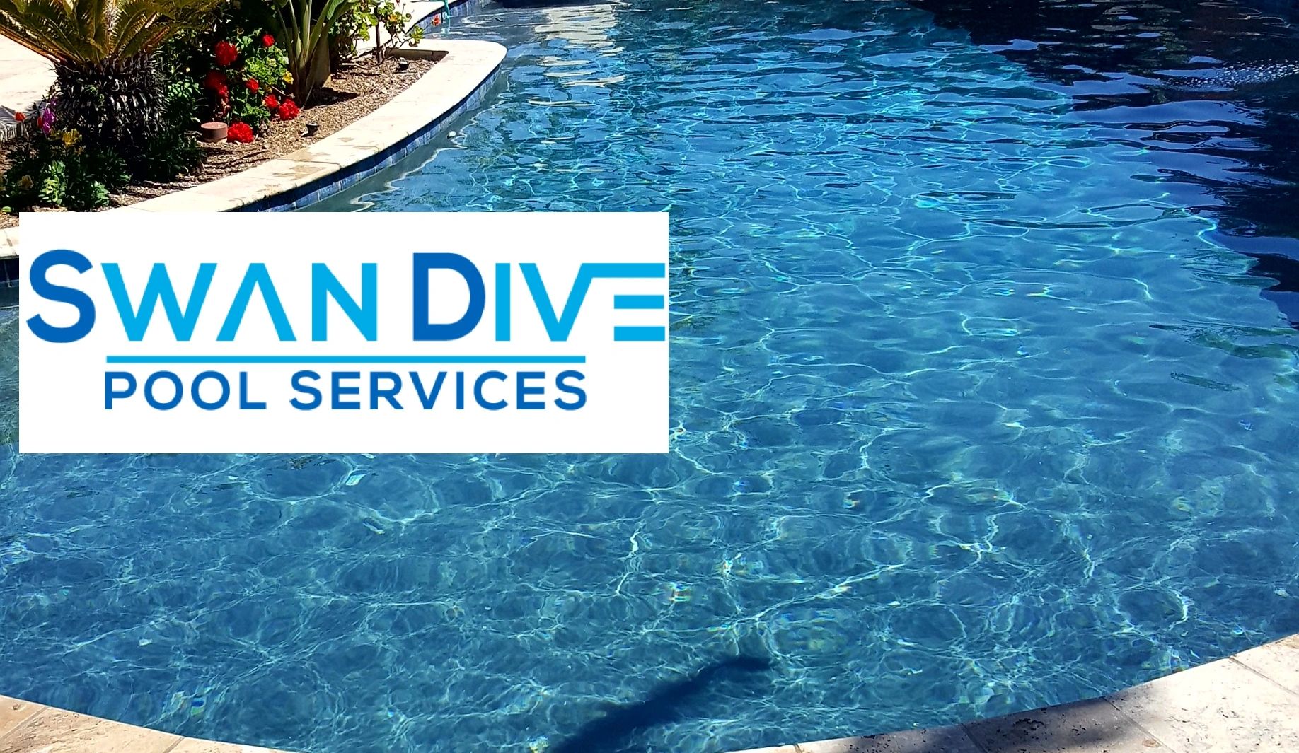 Swan Dive Pool Services - Home | Swan Dive Pool Services