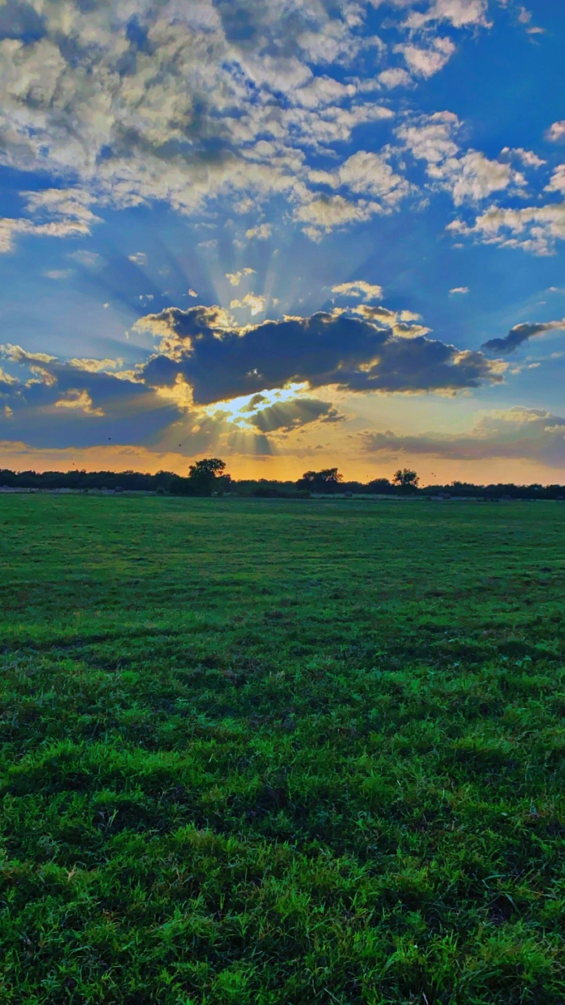 Year Round RV Park in Texas | Chaparral Trail RV and Stables