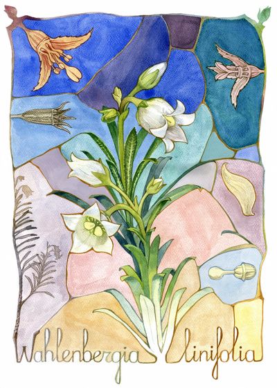 OYA Tees | Oya : Conservation for the Next Generation