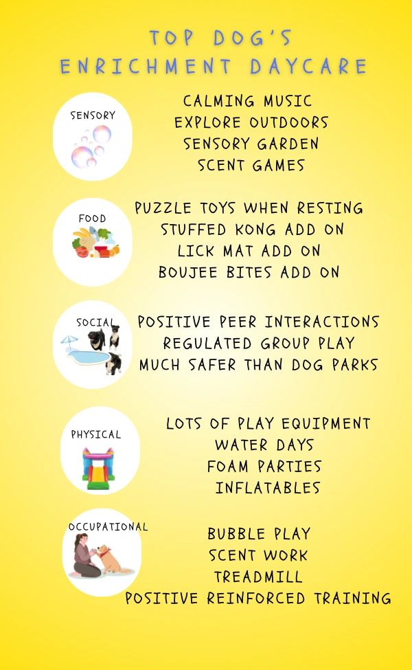 Home [topdogdaycare.net]