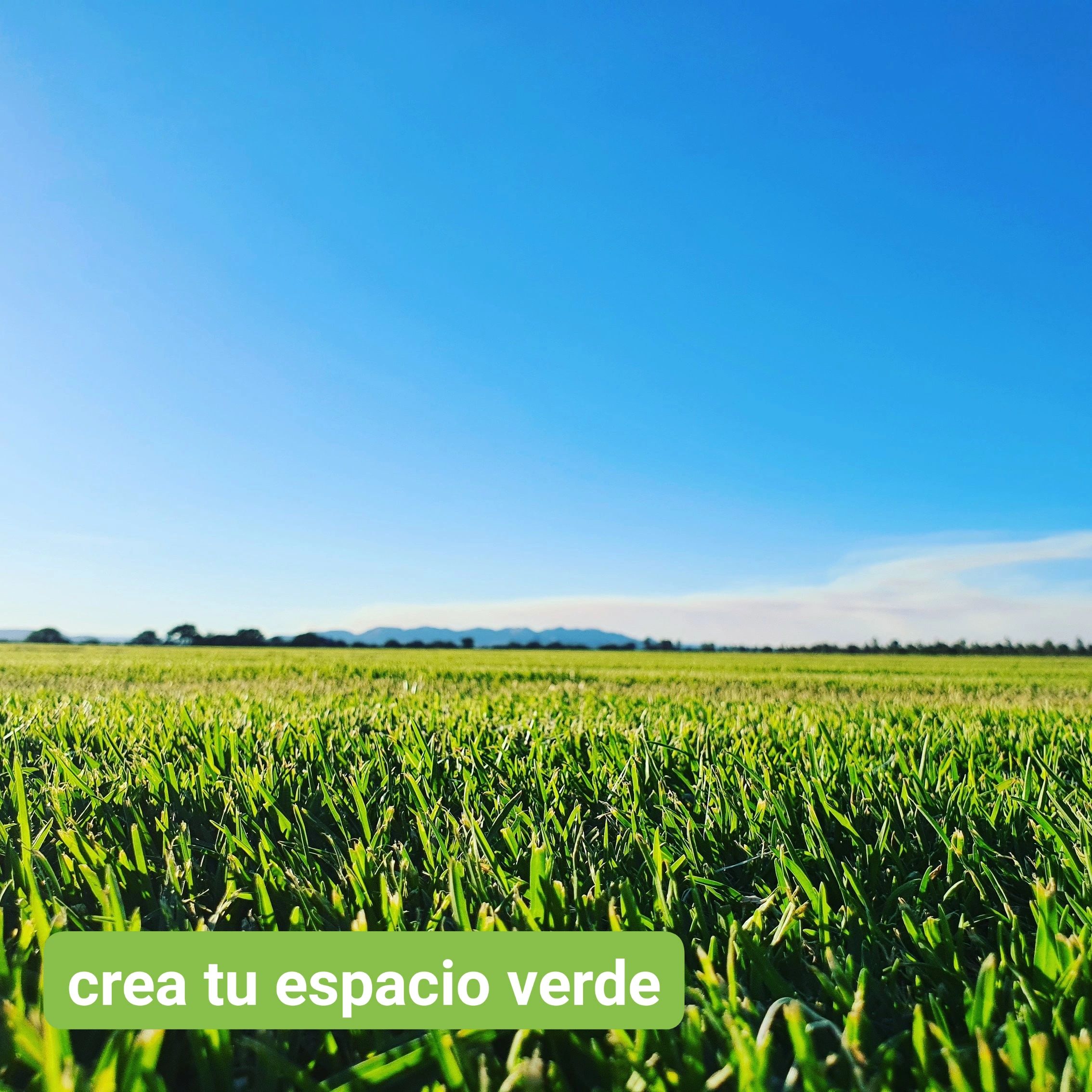 Pasto en Rollo - Pasto en Rollo, Venta Pasto, Pasto, Pasto en Rollo