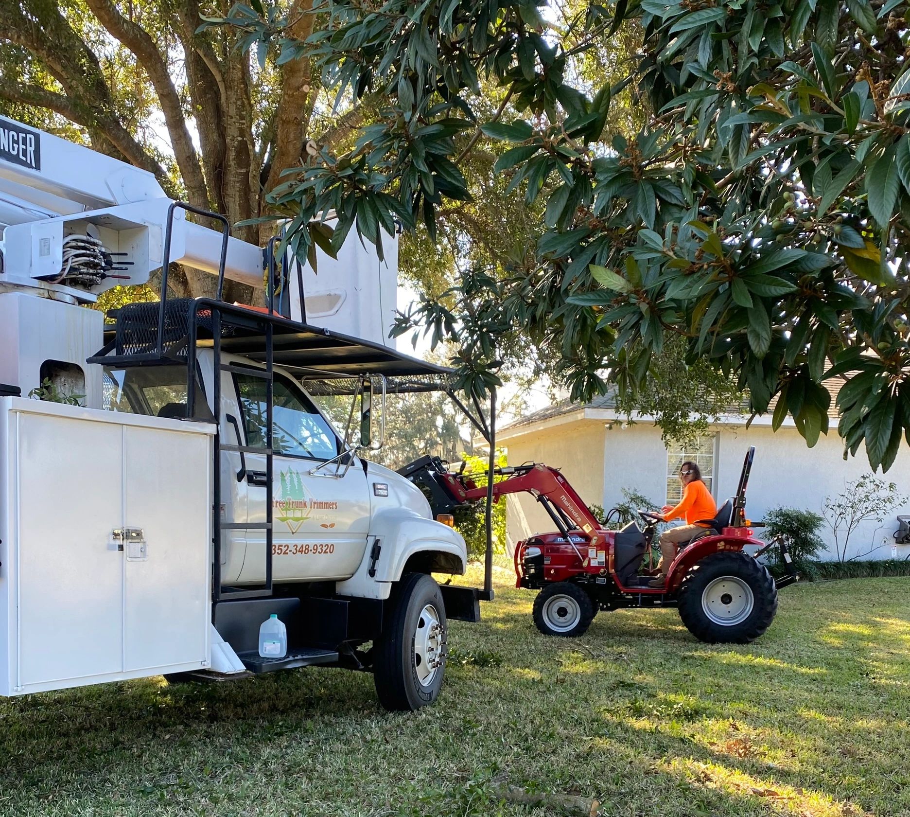 Tree and Landscape Services - Tree I Trunk Trimmers LLC & Landscape