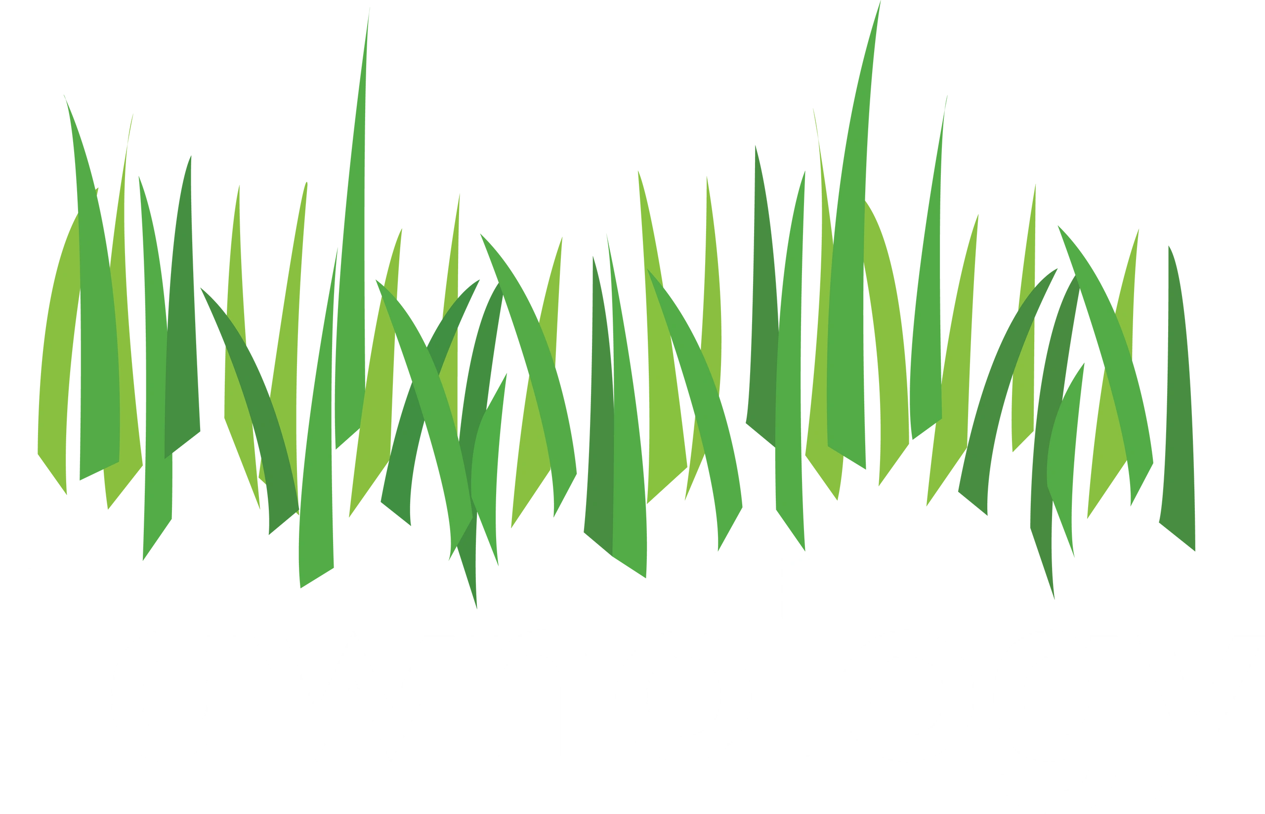 Product Labels