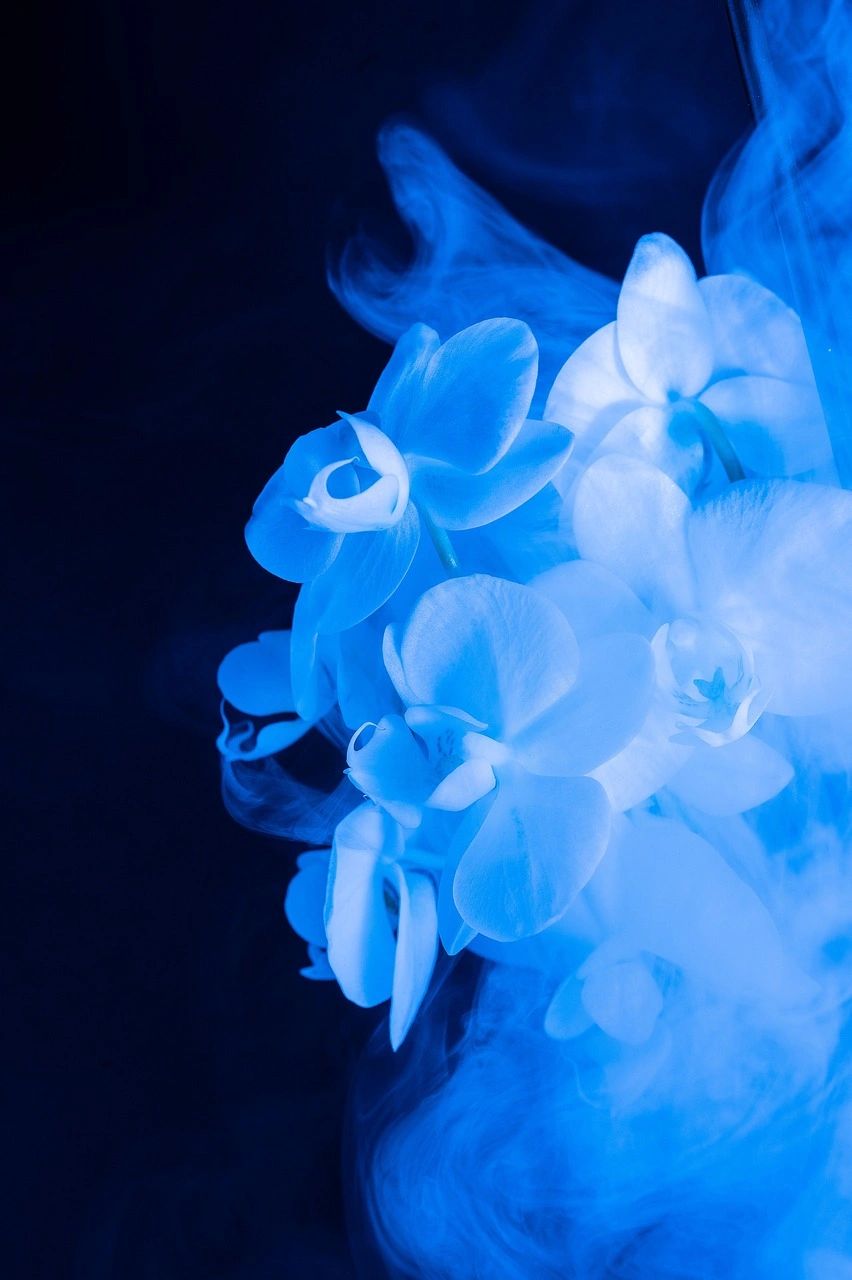 Common Causes of Blue Screen Errors