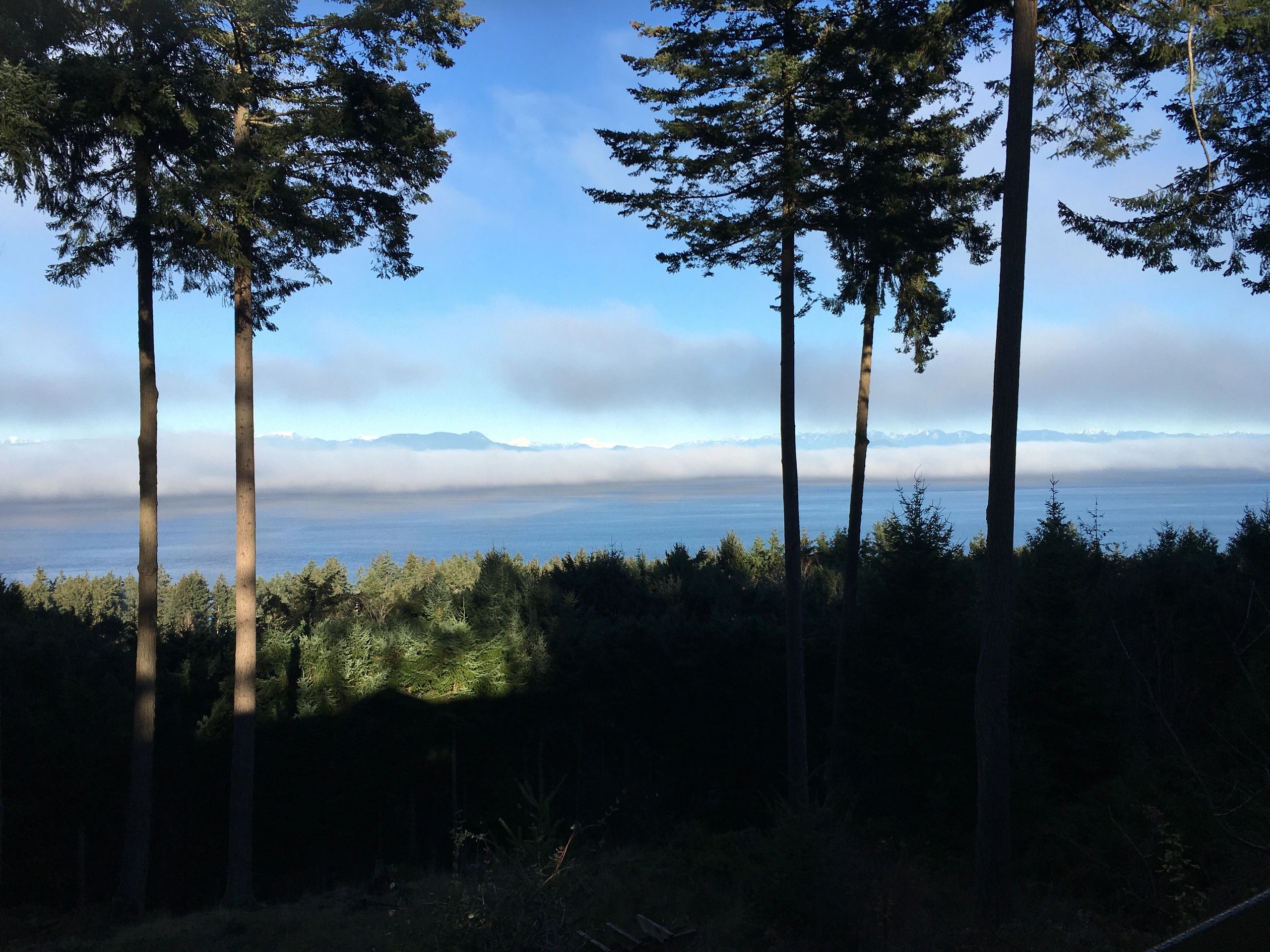 Salish Island Secrets