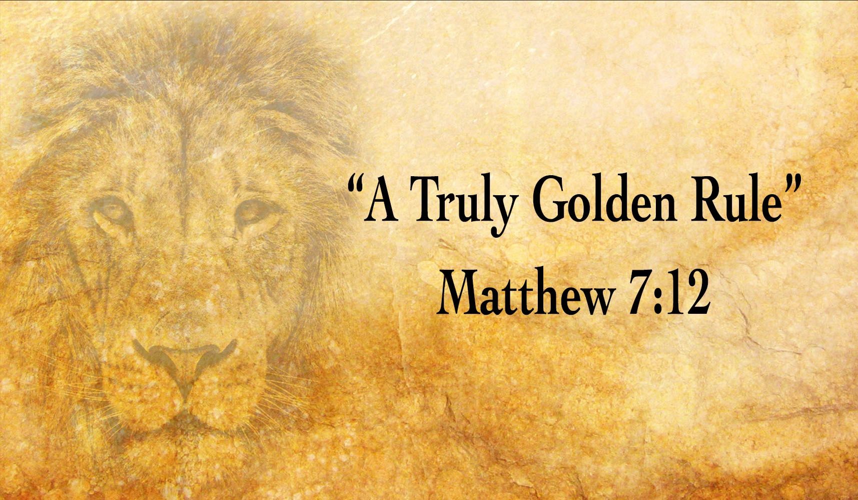 Gospel Of Matthew Lion