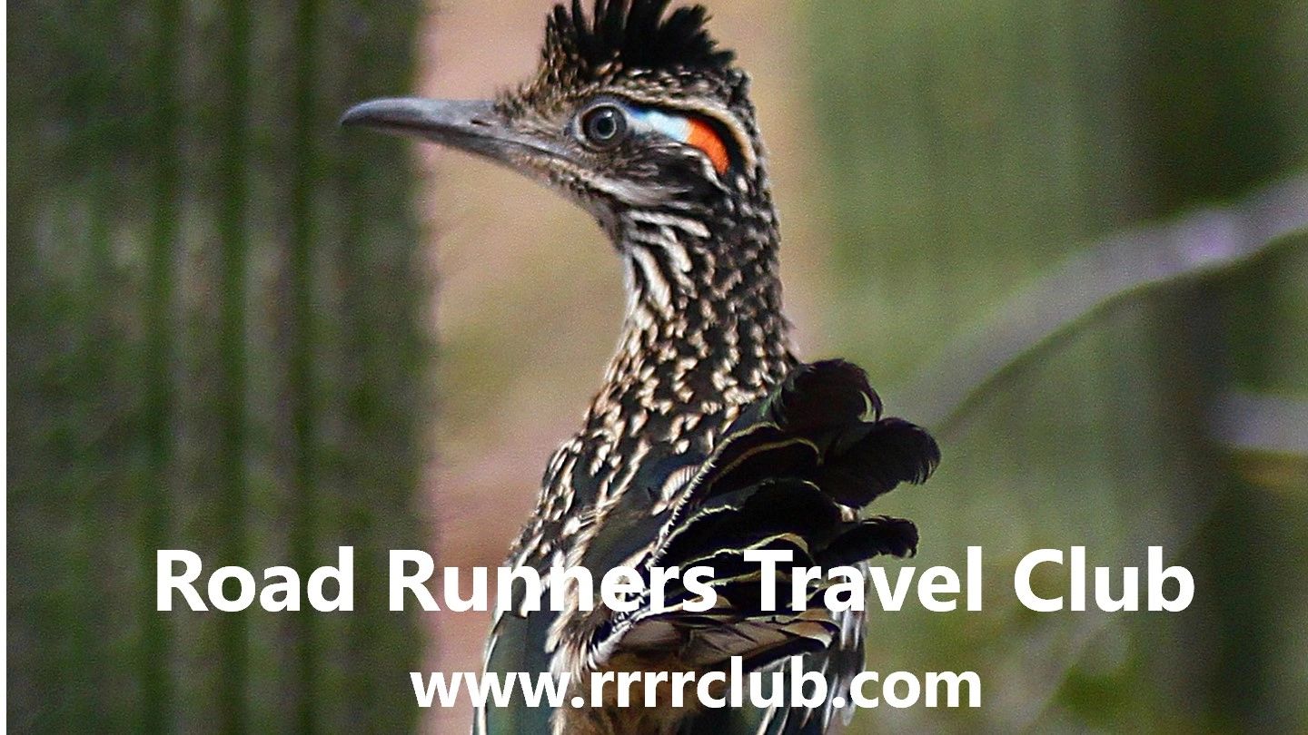 Road Runners Travel Club