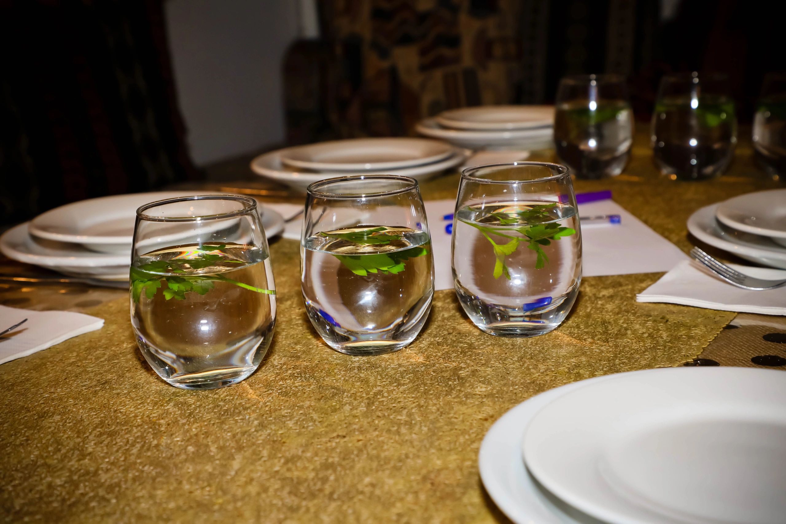Peacemeal: Nourishing Hope through Culinary Stories of Peacebuilding in ...