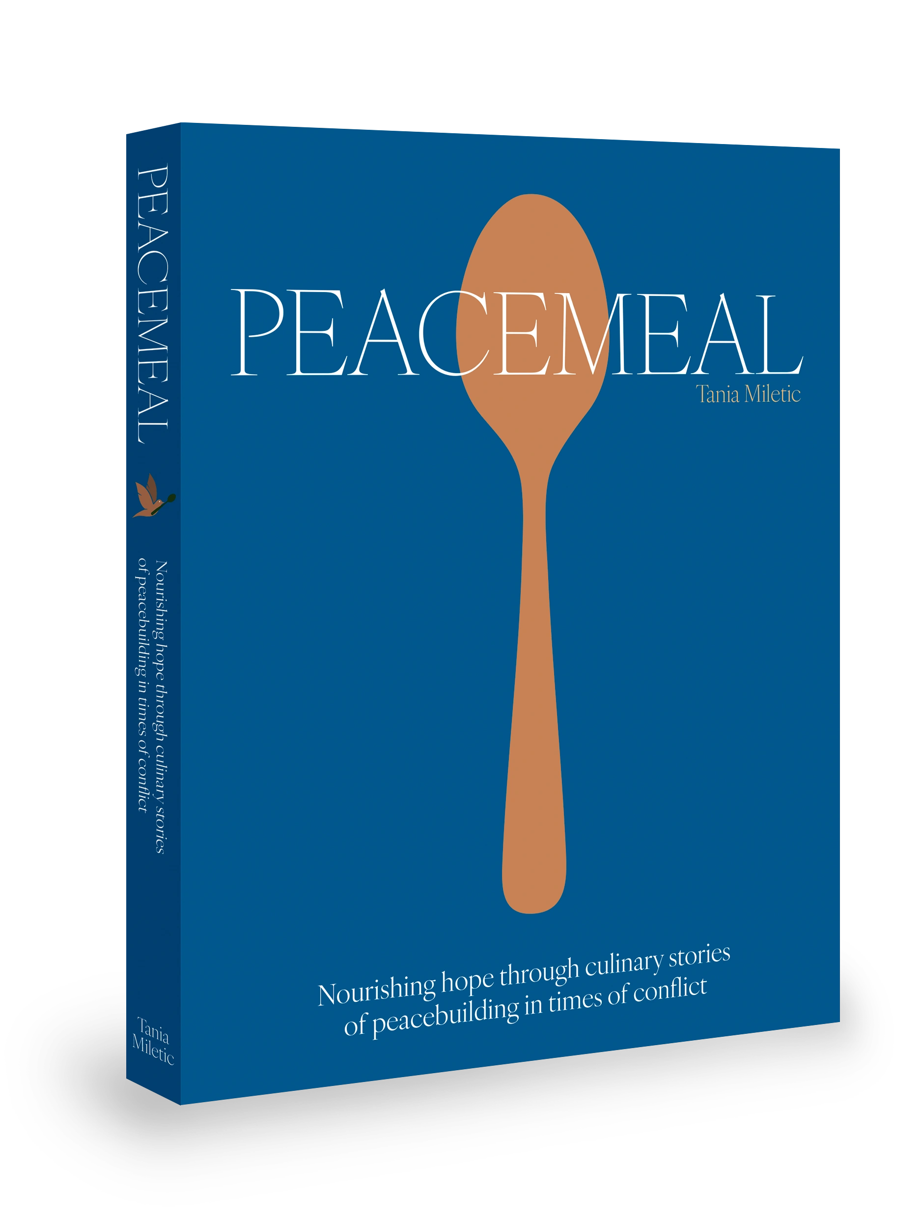 Peace-Meal Peacebuilding Initiative - Home