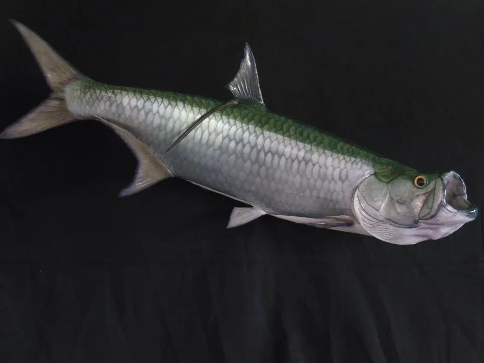 Realistic Fish Creations - Fish Mounts, Taxidermist, Fish Taxidermy