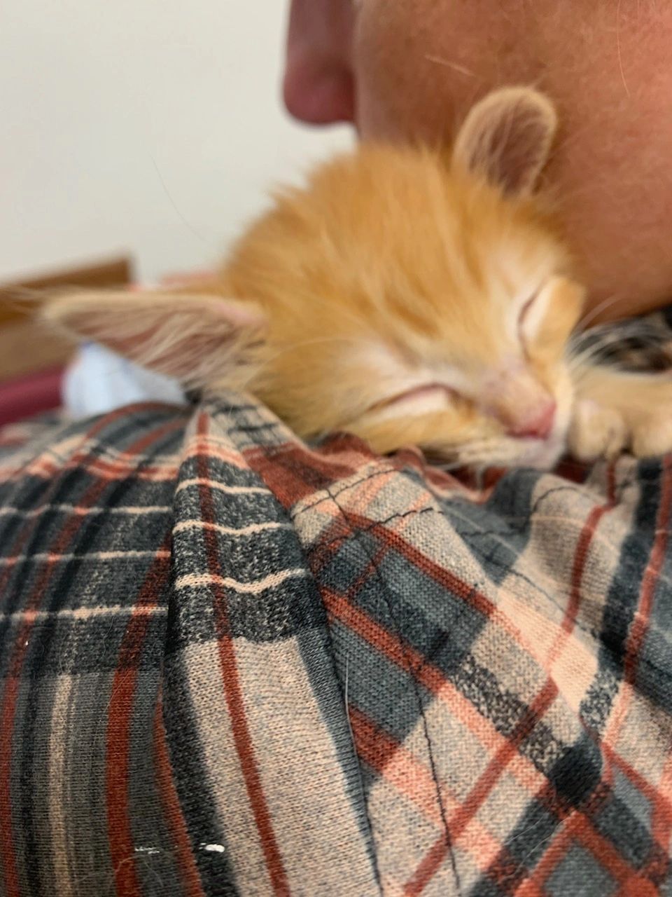 Beating Hearts Rescue