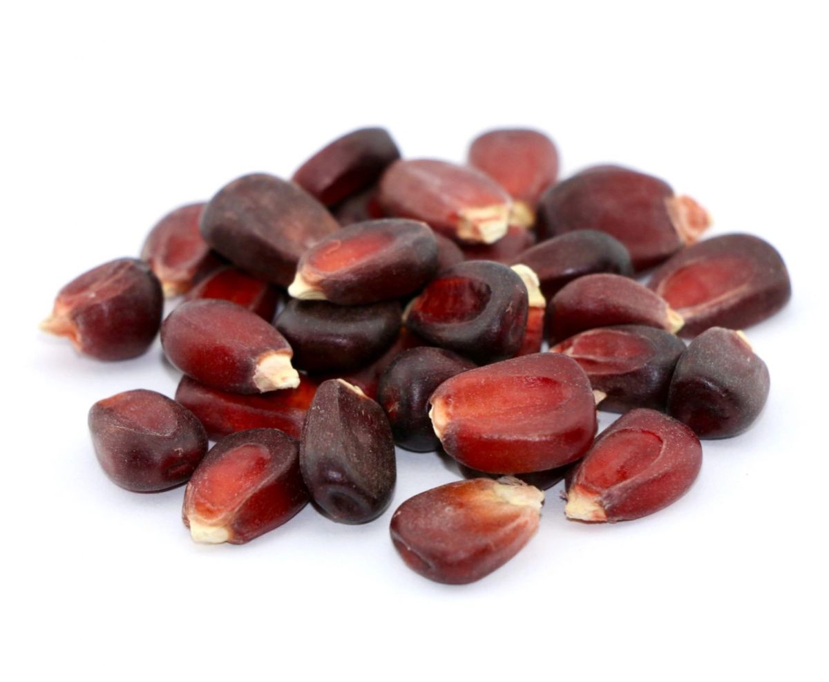 Grain - Jimmy Red Corn Distillers Grain 5 lb