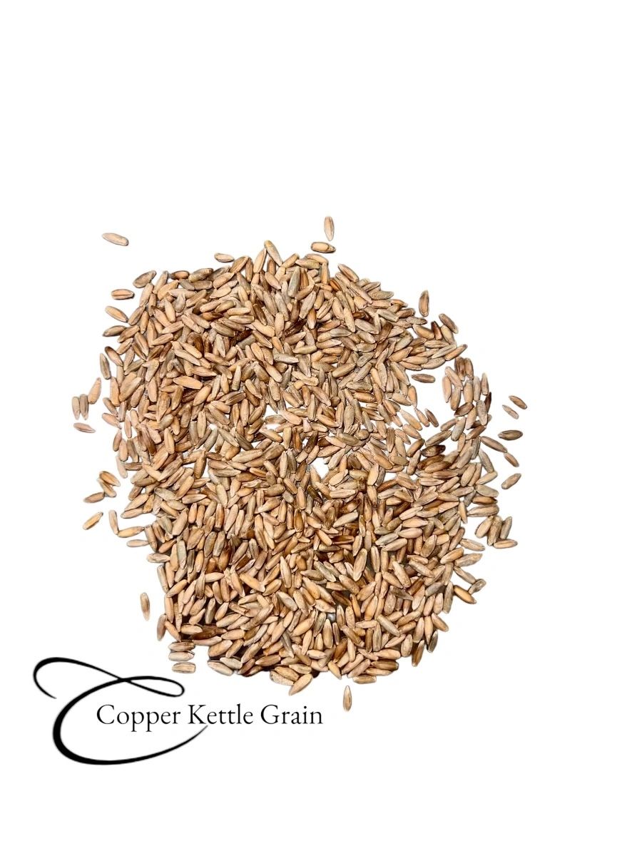 Grains - Elbon Rye Grain 5 lb