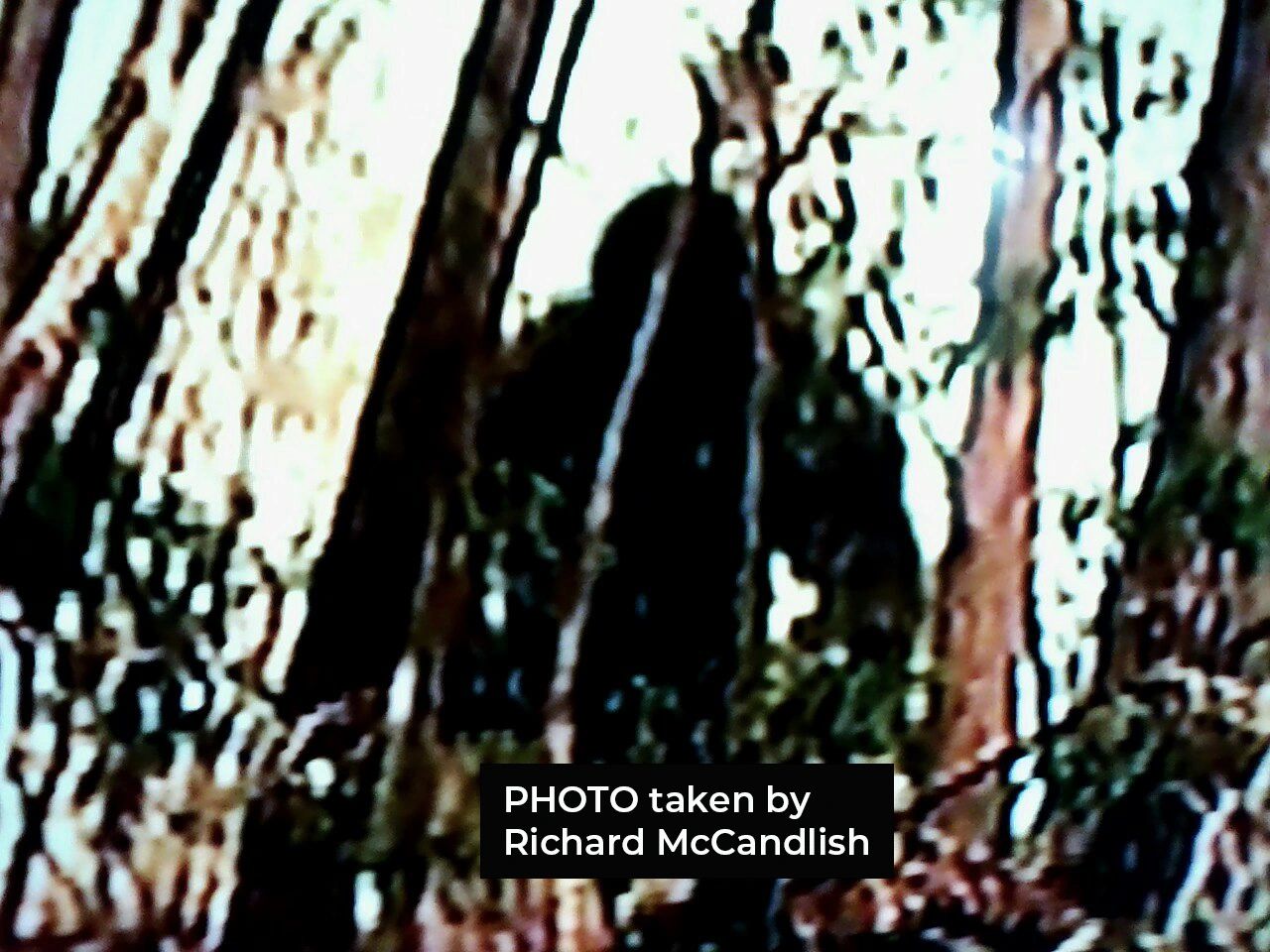 Ohio Cryptid Researchers