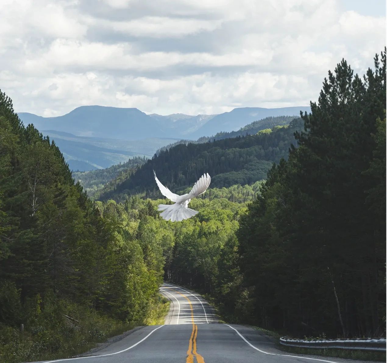 Discernment of Spirits Reflection Guide - Discerning Life Ministries