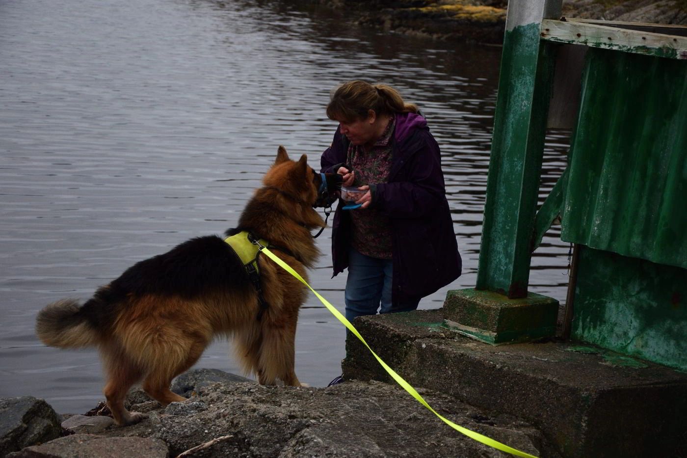 Mantrailing for Dogs - Highlands K9 Mantrailing