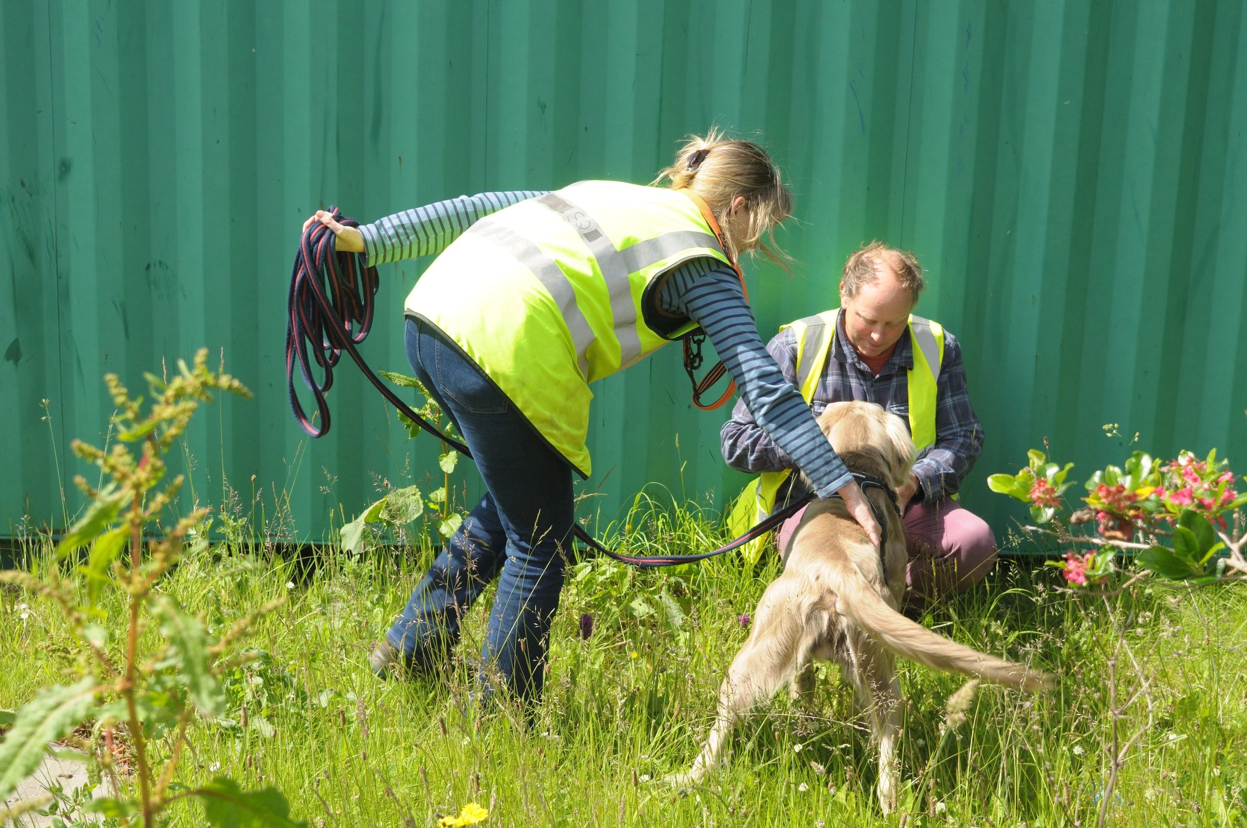 Mantrailing for Dogs - Highlands K9 Mantrailing