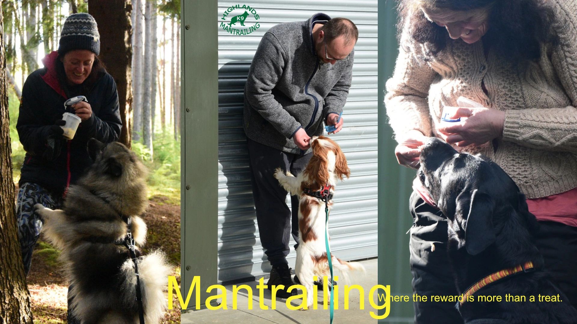Mantrailing for Dogs - Highlands K9 Mantrailing