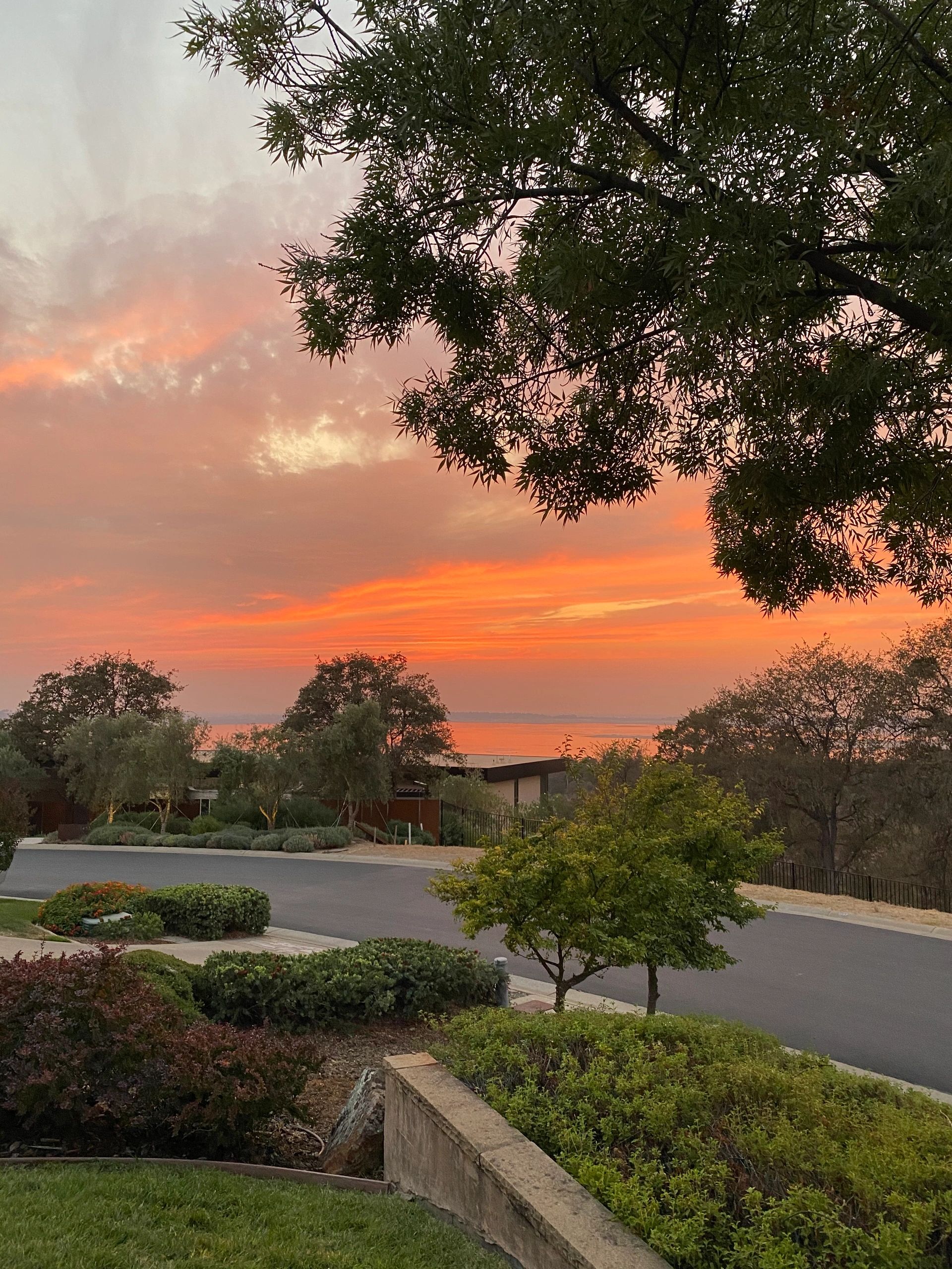 The John Guest Rule & Other Proclamations from Crocker Point