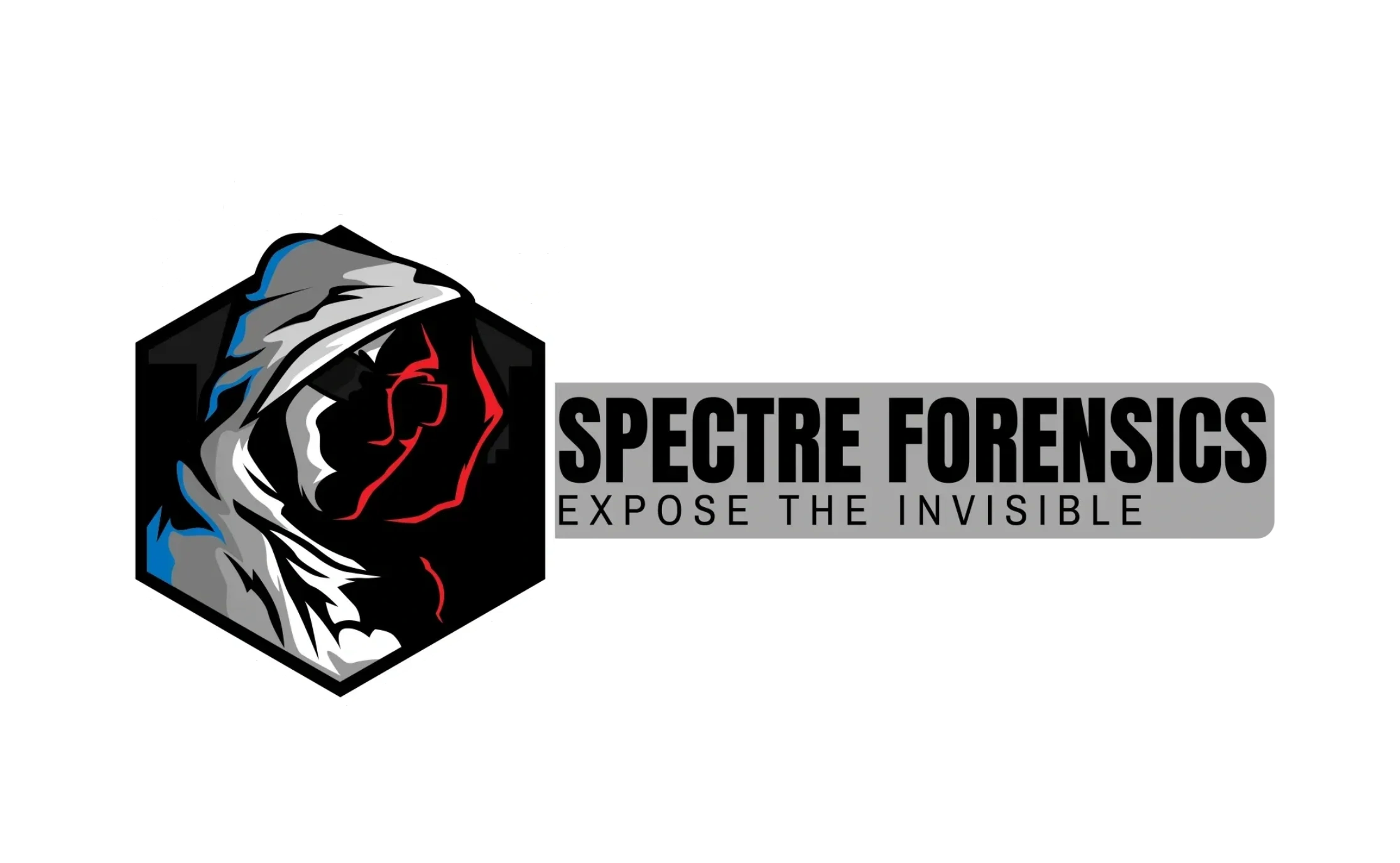 Spectre Forensics LLC