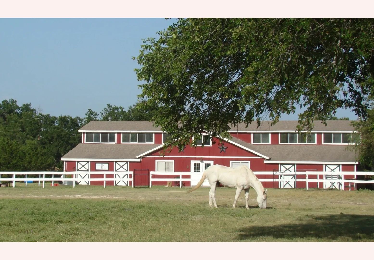 Home | Paws for Reflection Ranch