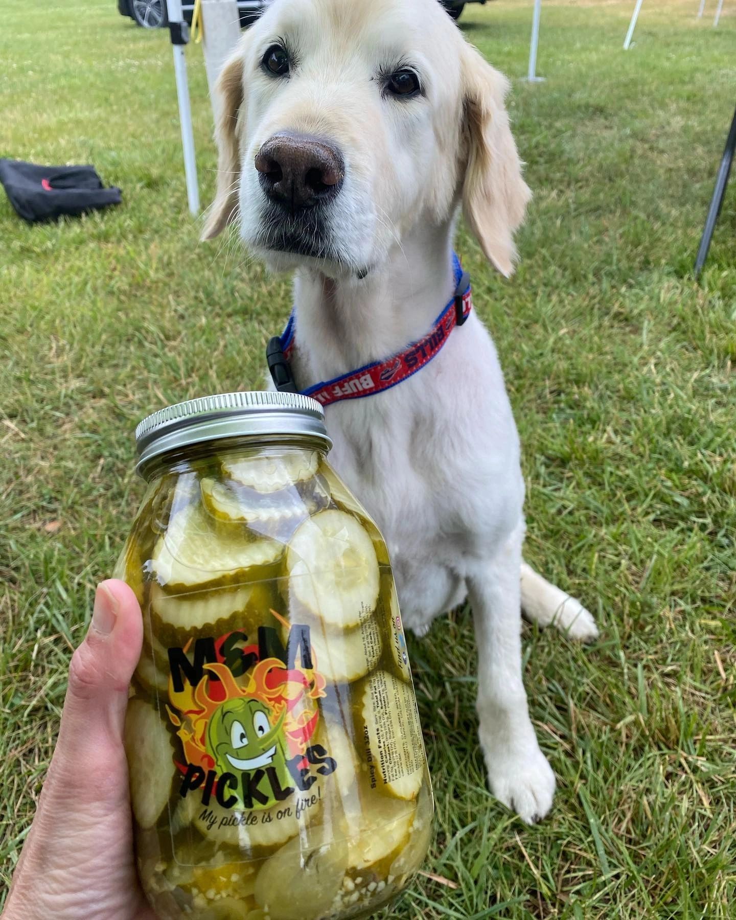M&M Pickles - Pickles, Specialty Food