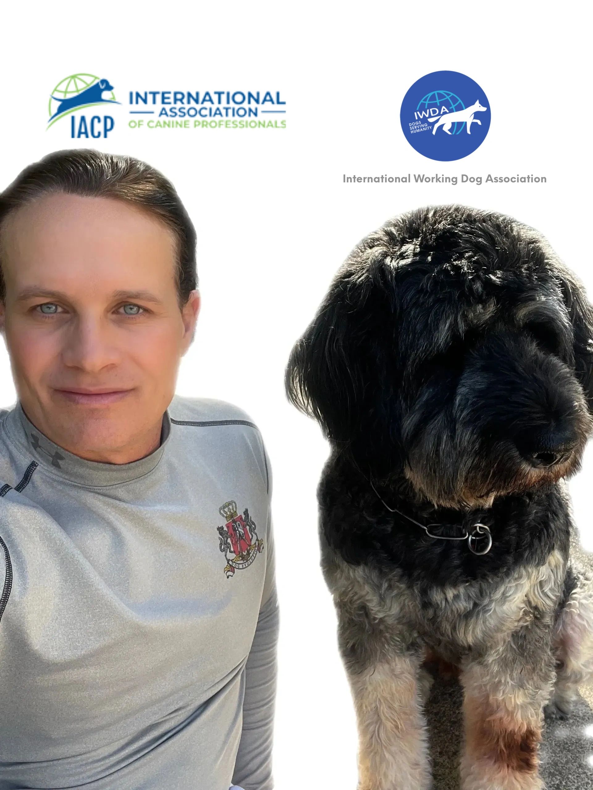 Dog Behaviorist - David Utter Dog Behaviorist Orange County