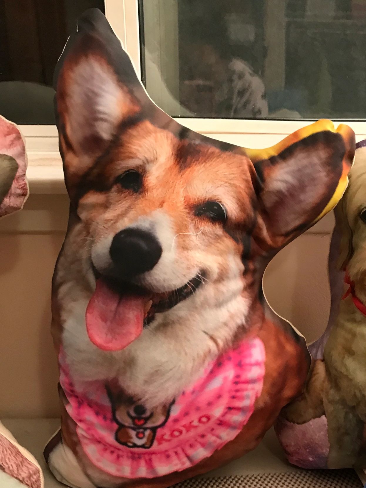 Everything About Animals - Online Pet Store, Pet Store, Pet Stores