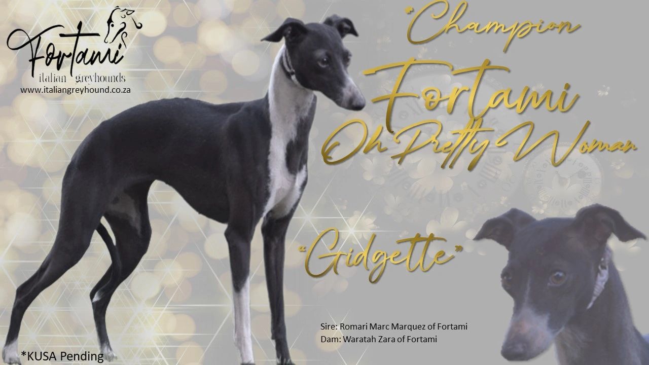 We have a new Champion in our midst :)