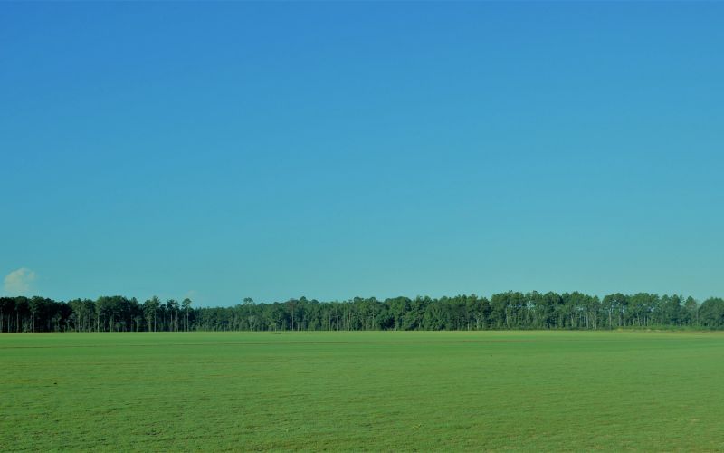 Royal Turf Farms