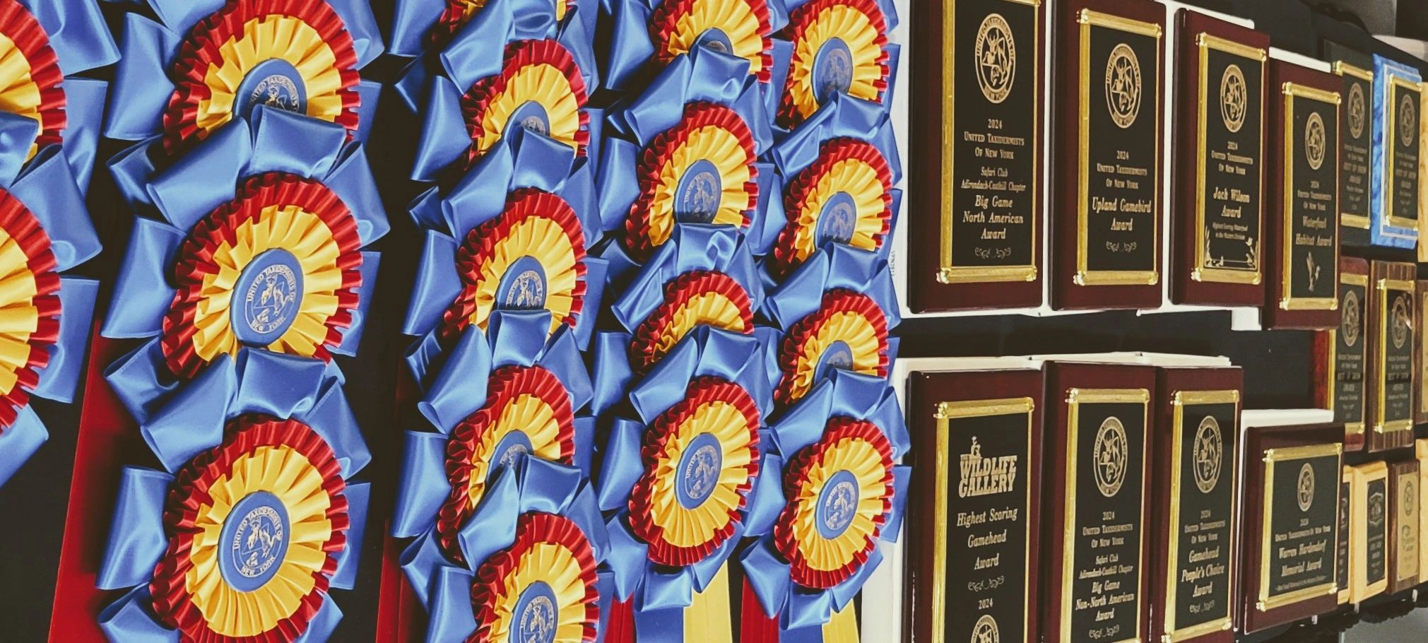 SPECIAL AWARDS
