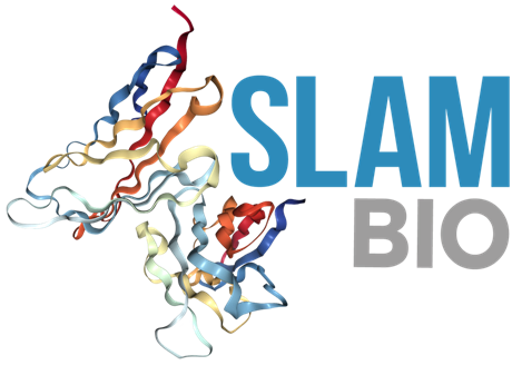 Home | SLAM Biotherapeutics