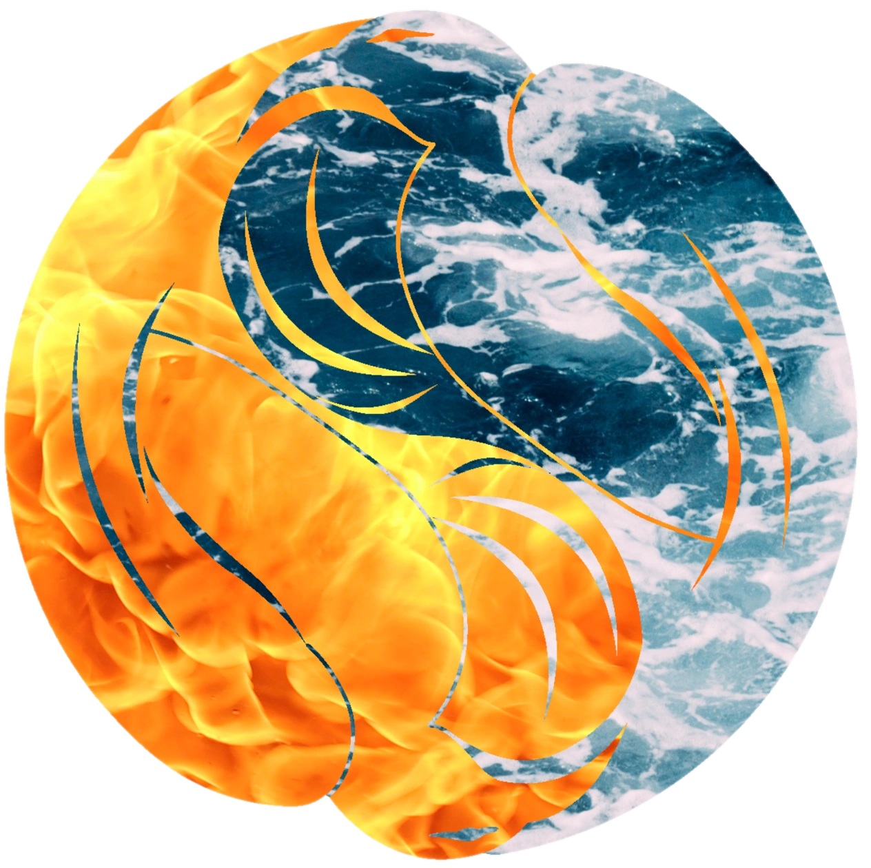 Top Taekwondo Classes in Rising Phoenix Martial Arts