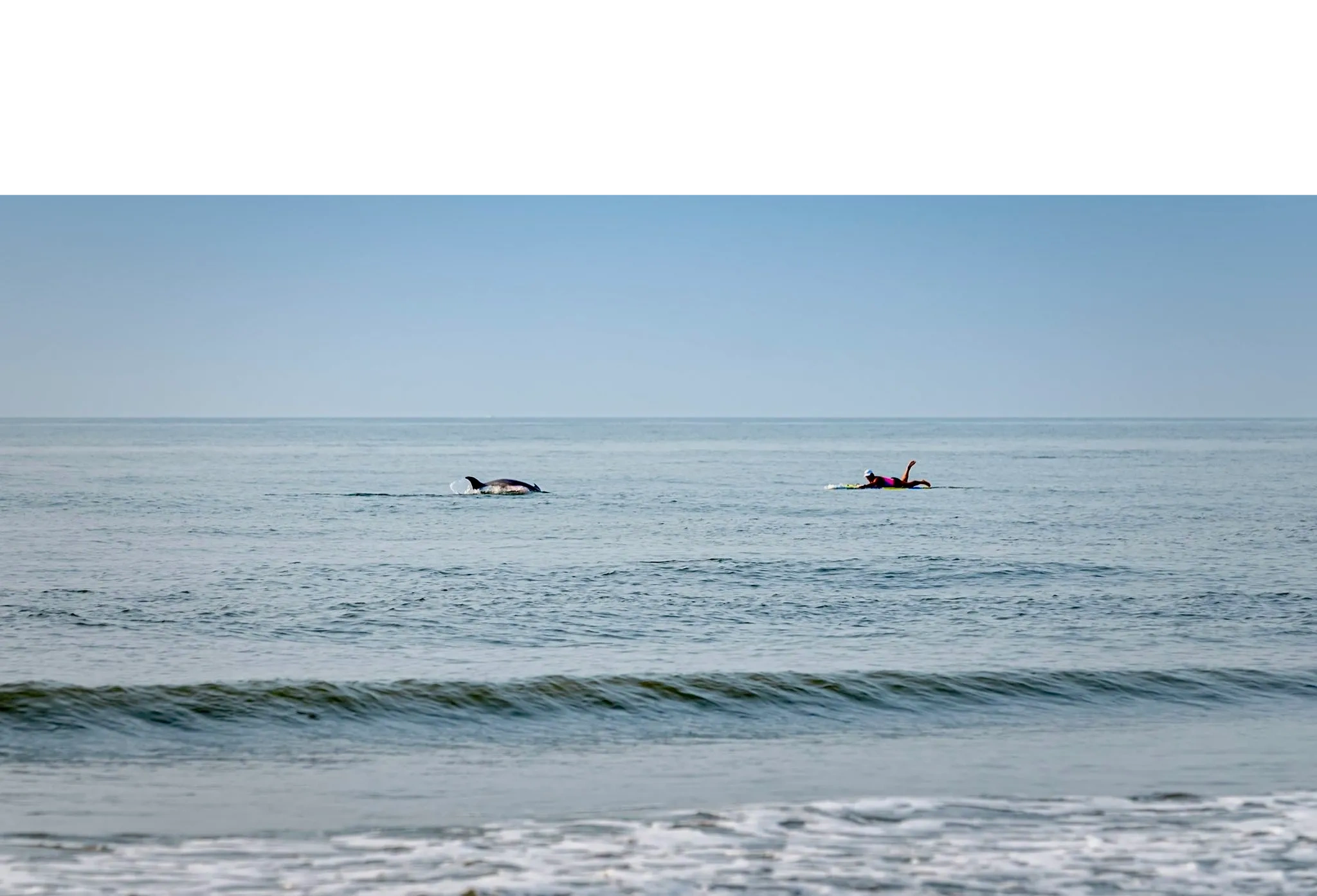 Bruckner Chase - Endurance Ocean Athlete & Protector