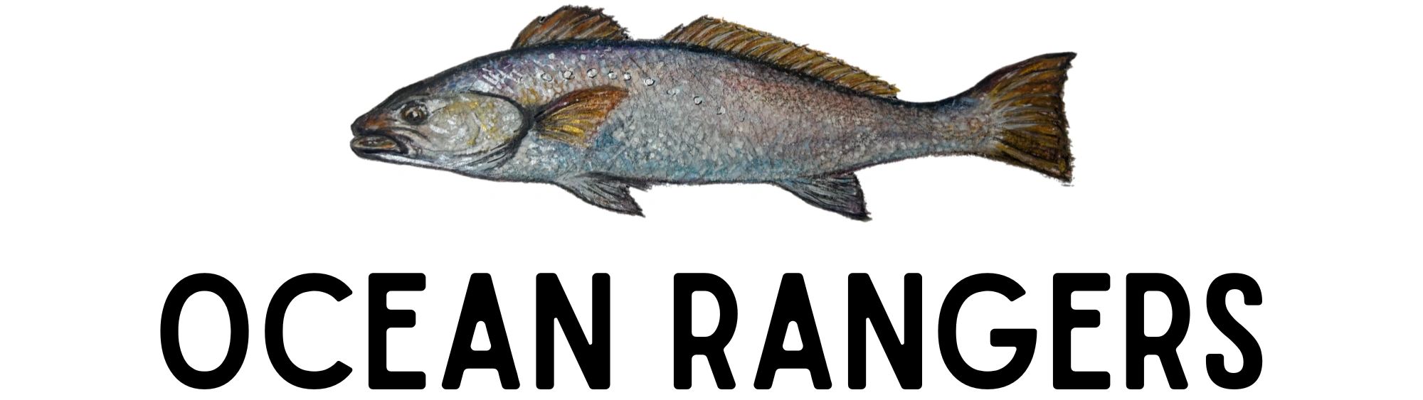 Shop the Beautiful Ocean-Inspired Clothing Online | Ocean Rangers Apparel