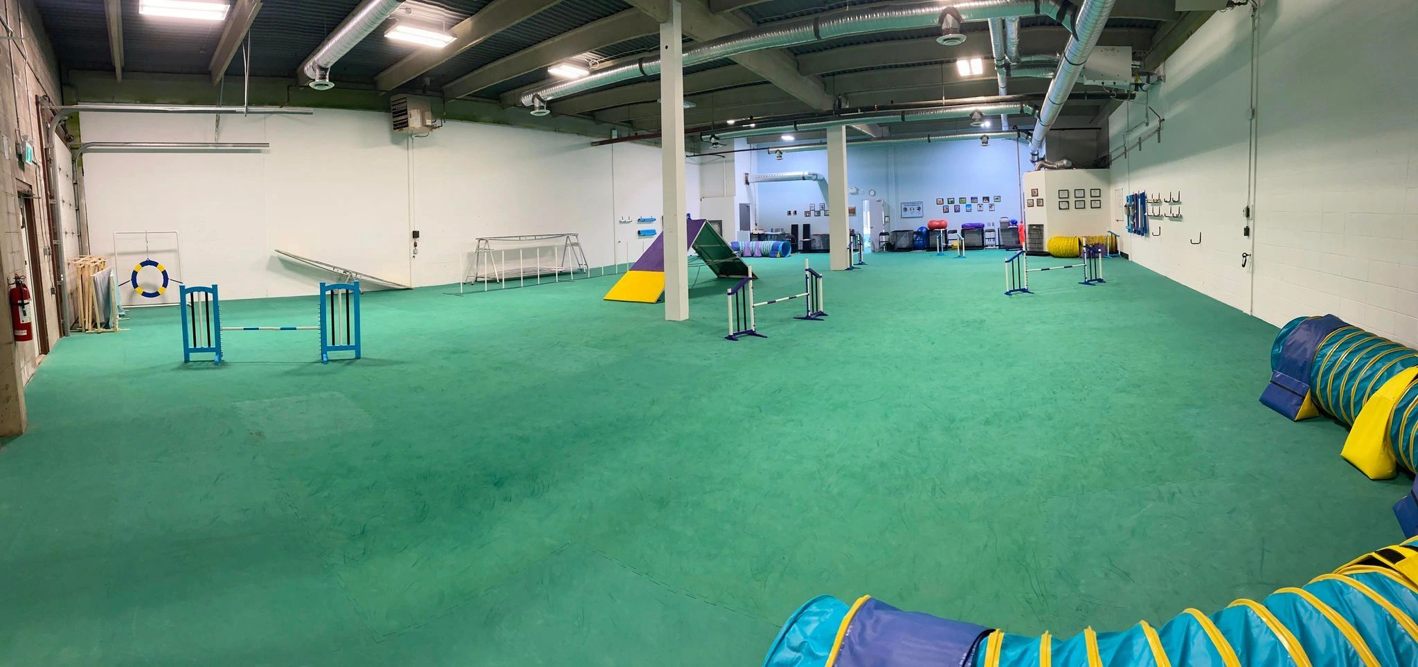 Canine Connection Training Centre Inc - Dog Training Classes, Agility