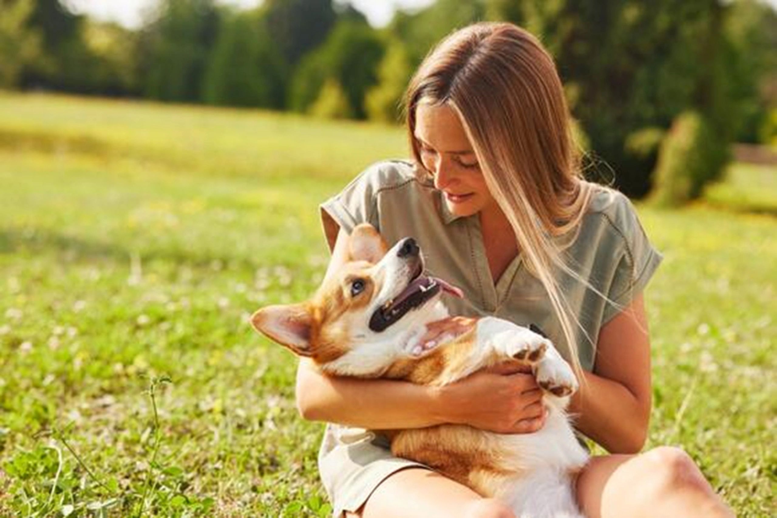 5 Telltale Signs Your Dog Truly Loves You