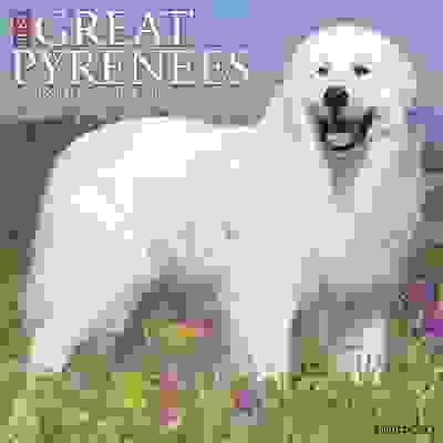 Great Pyrenees History | Heart of Ohio Great Pyrenees Club